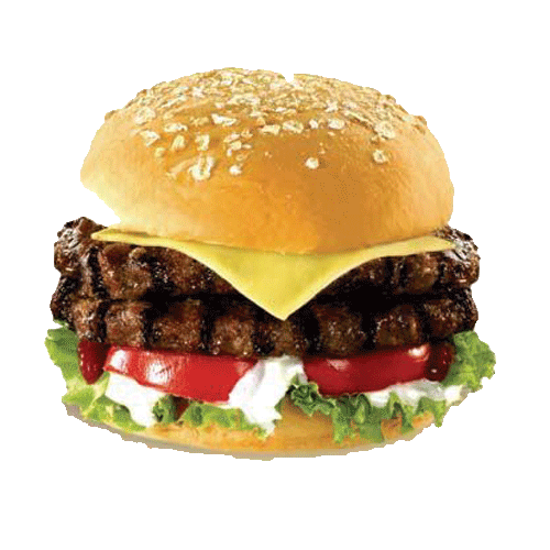 American Beef Burger (Halal) (48x113g)